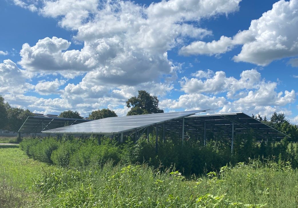 Hanf Farm in Melz setzt auf Sonnenstrom und Abwärmenutzung - MVeffizient